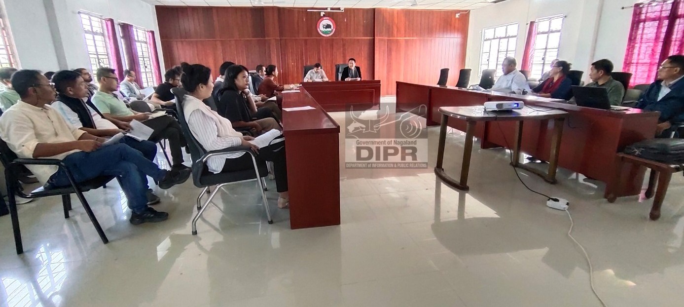 TSEMINYU DPDB MEETING HELD | DIPR Nagaland-Department of Information & Public Relations, Nagaland